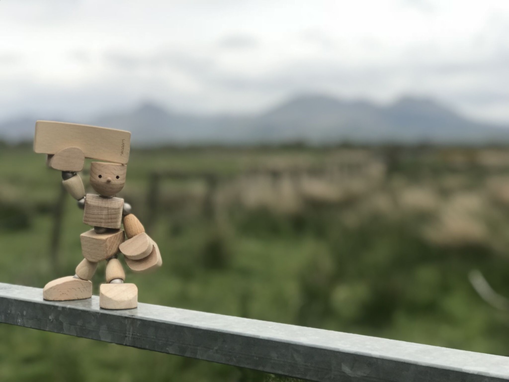 Woonki Wales - BABI PUR