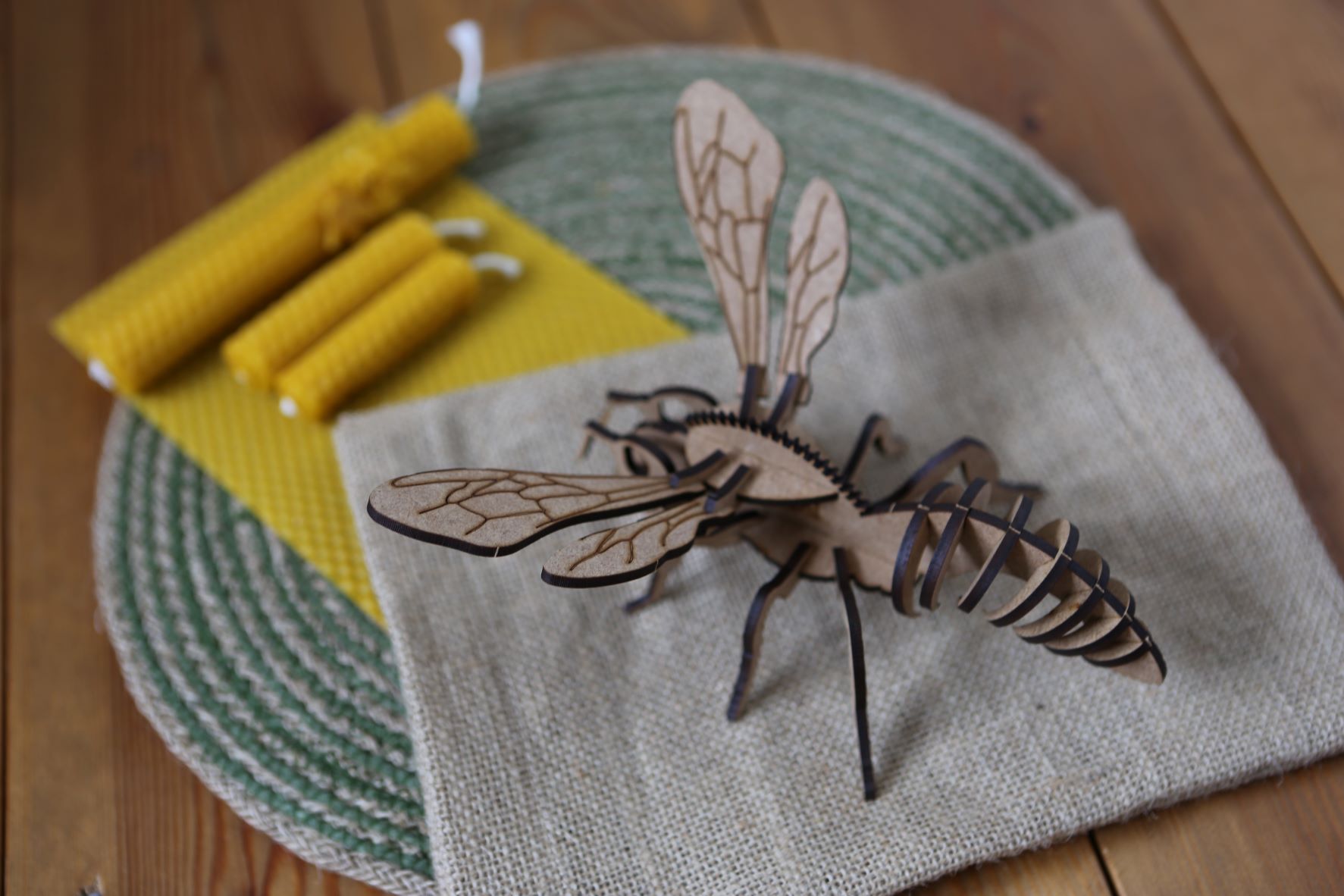 World Bee Day - Buzzing About Bees and Pollinators - BABI PUR