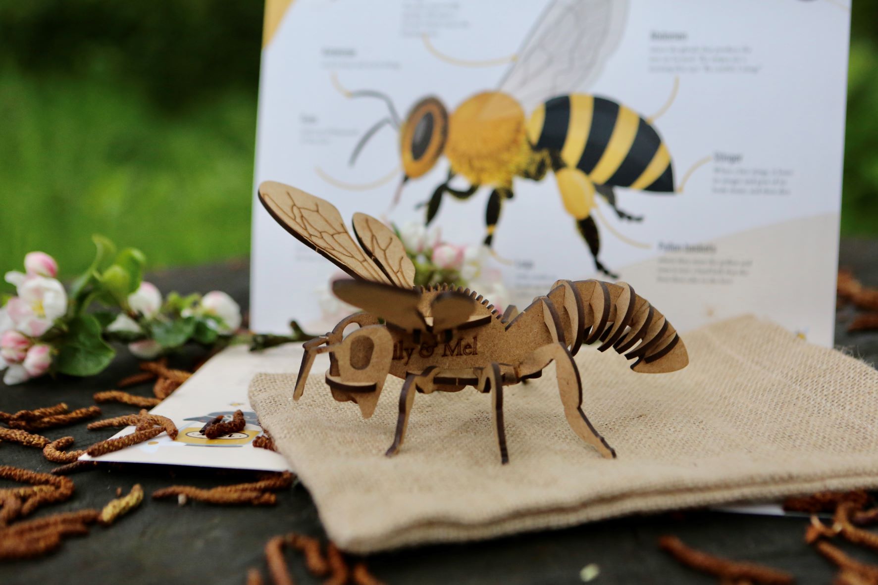 Lily & Mel Sustainable Craft Kits - A Creative Connection To Nature